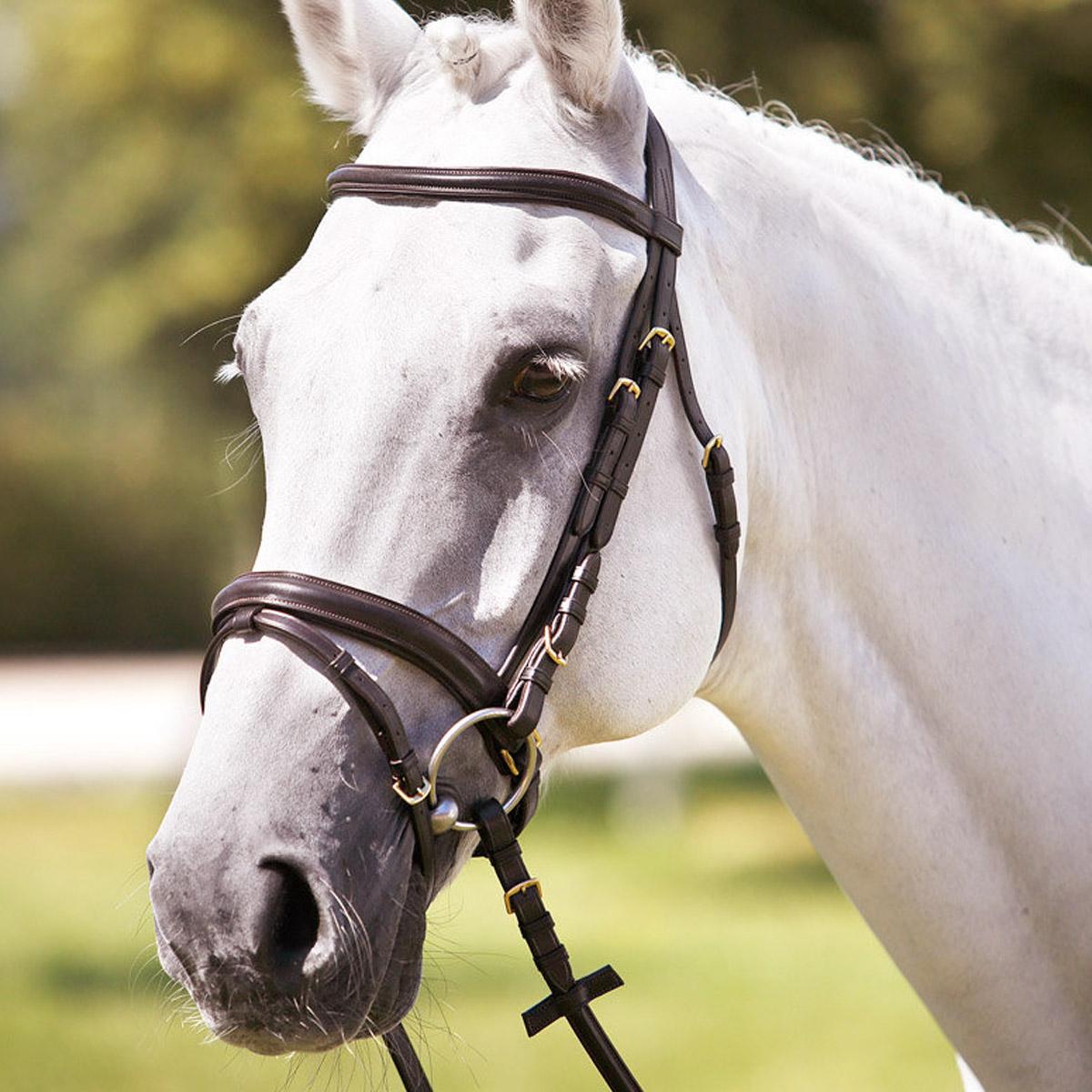 TATTINI LEATHER HEADSTALL WITH SHAPED BROWN BROWN AND ECO LEATHER RISE ...